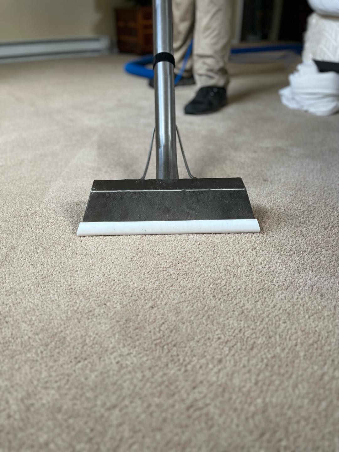 NewView Carpet and Floor Care